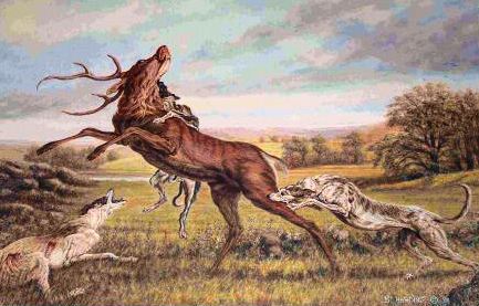 Hunter Gatherers on emaze